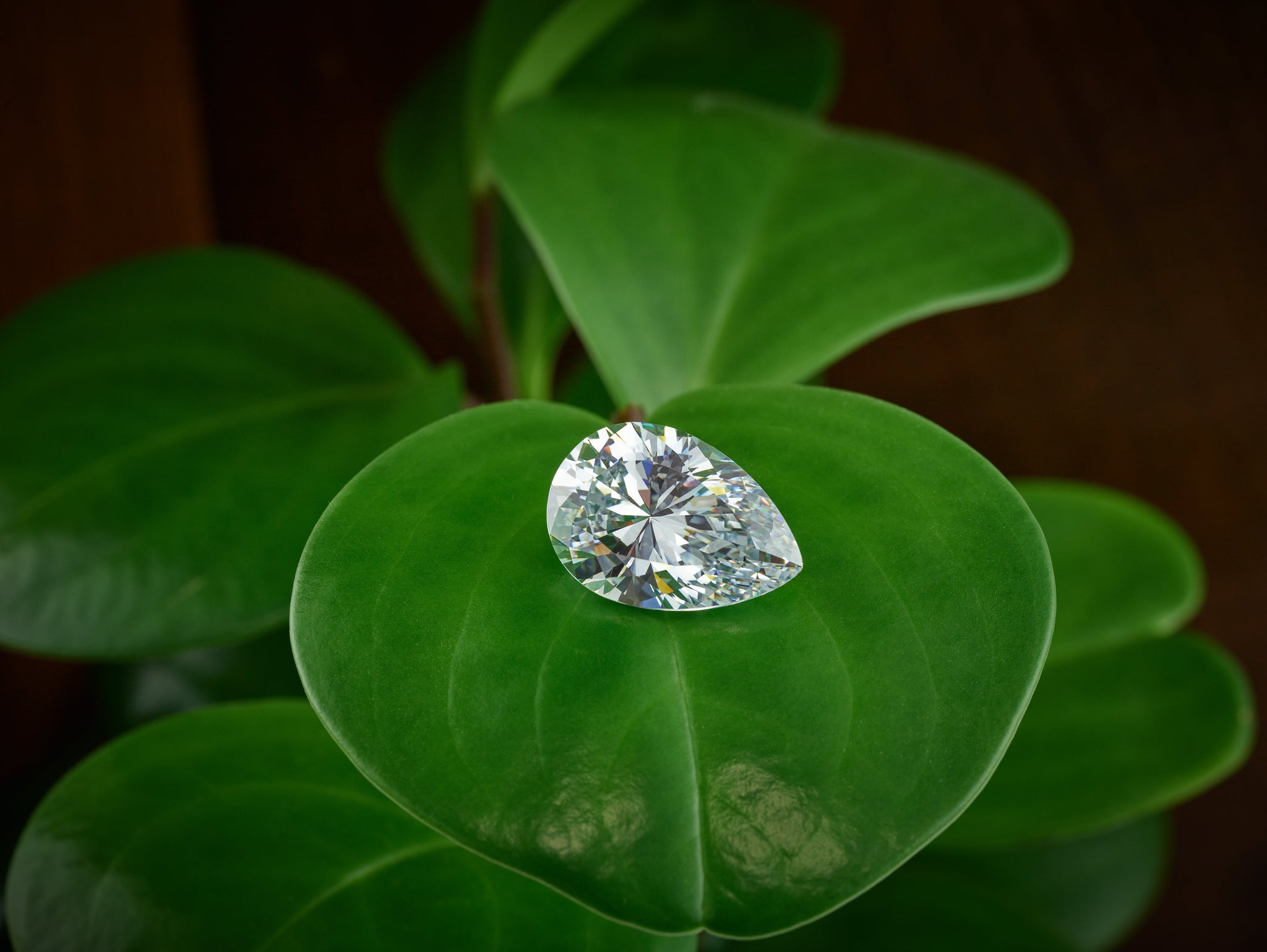 Can A Diamond chip Or Break?